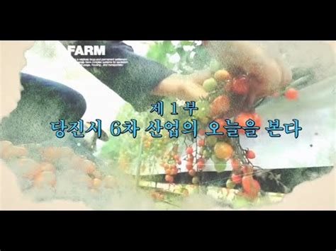 농업이 미래다 당진시 6차 산업의 오늘과 내일 ①당진시 6차 산업의 오늘을 본다 YouTube