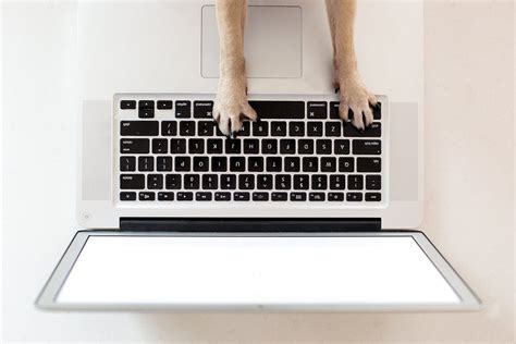 redux thunk is not proper redux every once in a while someone asks… by assaf kamil medium