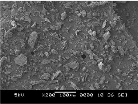 Sem Micrograph Of Cocoa Pod Husk Download Scientific Diagram