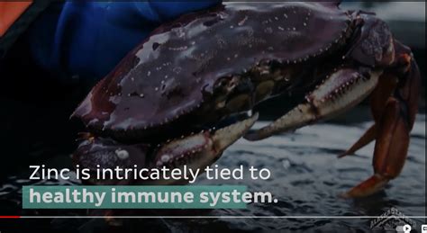 Wild Alaska Seafood Nutrients Zinc Selenium Alaska Seafood