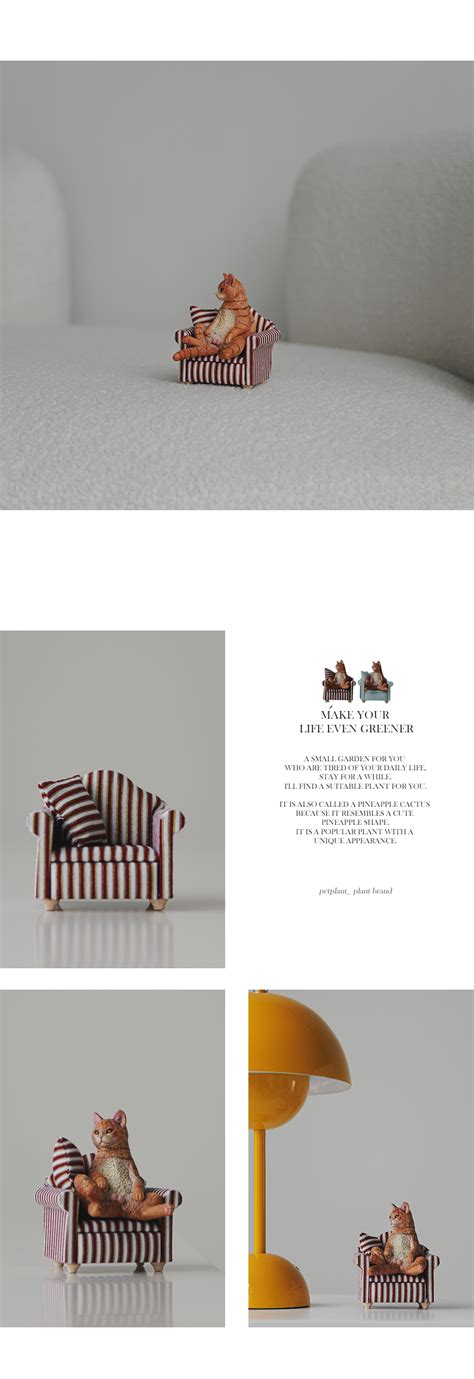 소파에 앉은 고양이 세트 감도 깊은 취향 셀렉트샵 29cm