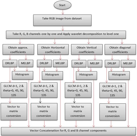 Flowchart Of Feature Extraction Phase Download Scientific Diagram