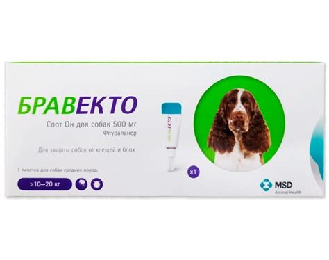 Бравекто для кошек: показания и инструкция по применению, отзывы, цена