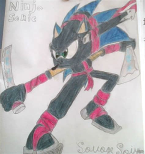 Ninja Sonic Fandom