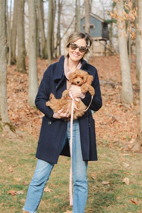 Meet Cinnamon The Cockapoo A Lovely Living