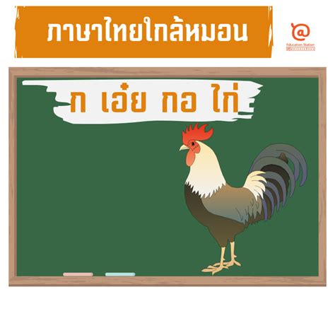 สถานีการศึกษา 🐓🐣 ก เอ๋ย กอ ไก่ ข ไข่ ใน เล้า