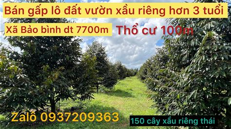 Chủ Cần Bán Gấp Lô đất Xã Bảo Bình Dt 7700m Tc 100m Vườn Xầu Riêng Vip