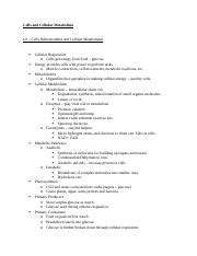 Unlocking Energy Cells Mitochondria Cellular Metabolism Course Hero