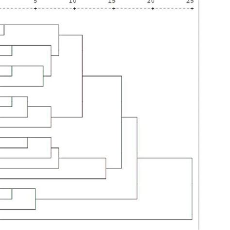 Dendrogramma Ottenuto Con Il Metodo Del Centroide Download Dendrogramma Ottenuto Con Il Metodo Del Centroide Download