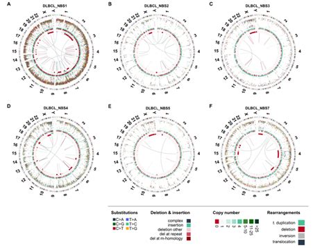 Whole Genome Circos Plots Displaying The Types And Location Of Genomic Download Scientific