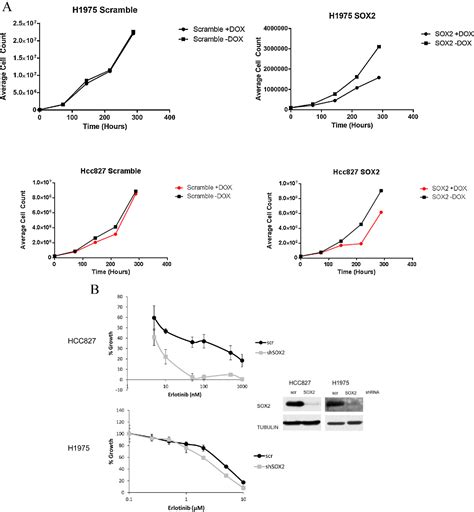 Figure 4 From Sox2 Expression Is An Early Event In A Murine Model Of