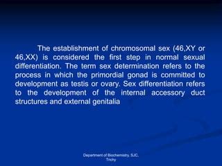 Sex Determination And Differentiation Ppt