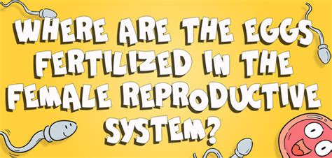 Can You Pass This Seventh Grade Sex Ed Quiz