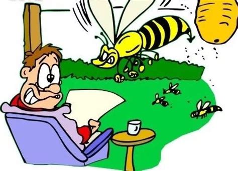 蜜蜂很生气后果很严重