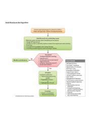 Adult Bradycardia Algorithm Adult Bradycardia Algorithm Assess Appropriateness For