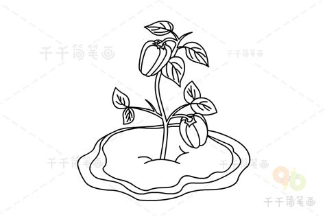 辣椒种植简笔画 辣椒怎么画简笔画 第2页 大山谷图库