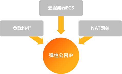 什么是公网ip和弹性公网ip弹性公网ip 映射 Csdn博客