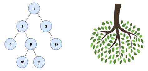 Non Linear Data Structure 트리 Tree