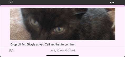 How To Use Microsoft S Sticky Notes In Windows On The Web And On Your Mobile Device