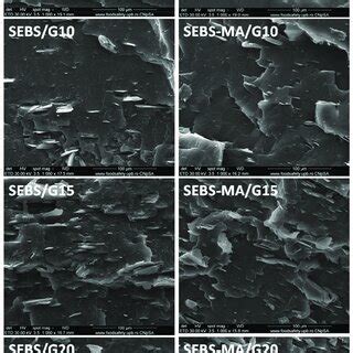 SEM images (×1000) of SEBS, SEBS-MA, and their composites. SEM images ...