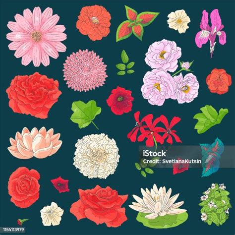 낙서 스타일에서 다른 꽃의 집합입니다 손으로 그린 웨딩 꽃 디자인 벡터 일러스트 레이 션에 대 한 요소입니다 봄 꽃입니다 개체 그룹에 대한 스톡 벡터 아트 및 기타 이미지