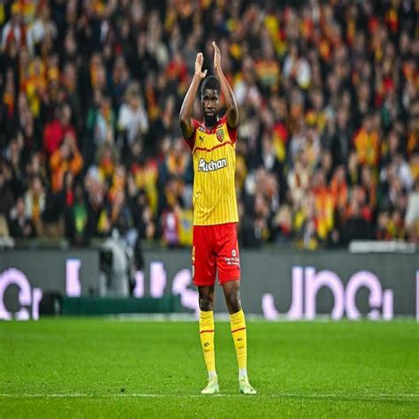 Segmentation Instance Segmentation Dataset And Pre Trained Model By New1