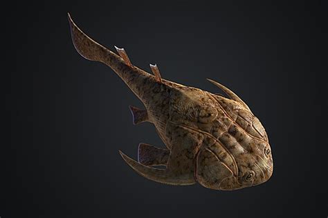 Gallery: Ancient Fish Fossils Reveal Evolutionary History - Caixin Global
