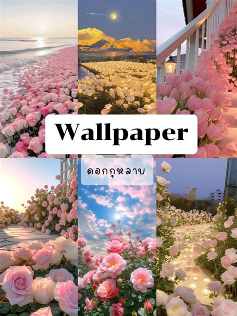 แจกฟรี Wallpaper ดอกกุหลาบ💐🌹💗 แกลเลอรีที่โพสต์โดย 🍄 หญิง เห็ด 🍄 Lemon8