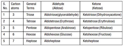 Different Types Of Monosaccharides Sarthaks Econnect Largest