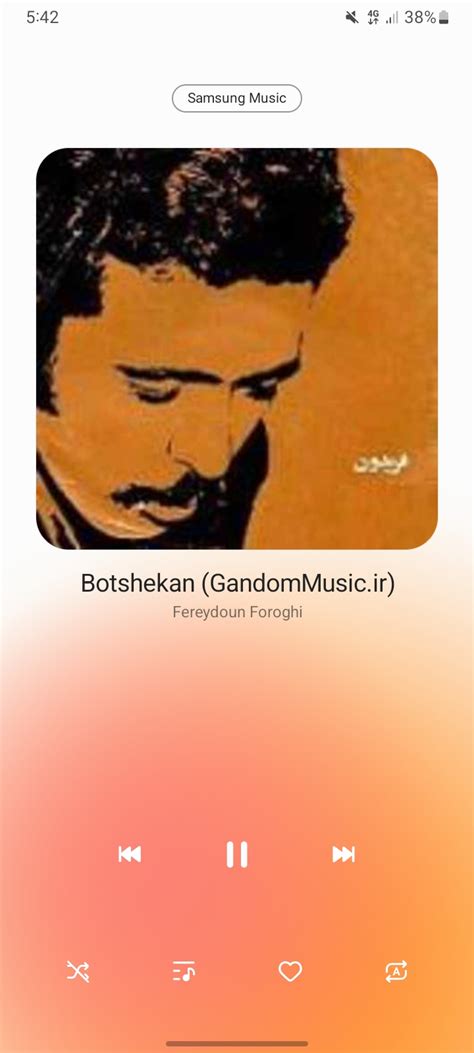 فریدون فروغی بت‌شکن طرفداری