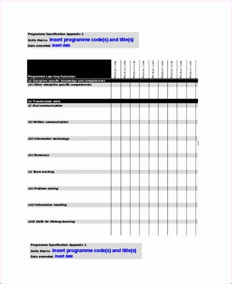 Responsibility Matrix Template Excel Download