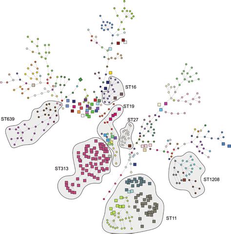 Minimum Spanning Tree Based On Salmonella Core Genome Multi Locus Download Scientific Diagram