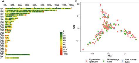 Snp Information And Population Structure Analysis A The Number Of Snps Download Scientific