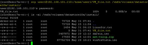 The Most Effective Ways To Transfer Files From A Vm To A Host Techsyncer
