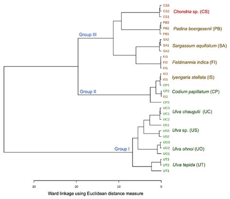 Dendrogram Obtained From Hierarchical Clustering Of Seaweeds Samples