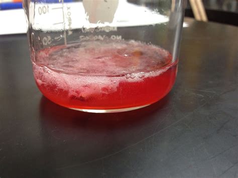 Strawberry Dna Extraction Lab Worksheet