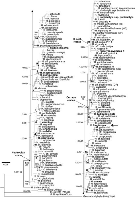 bayesian 50 majority rule consensus tree of the combined its and matk