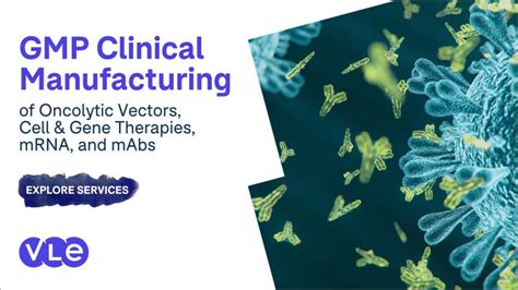 Our World Class Process Development Scientists And Gmp Teams Solve Any And All Clinical Gmp