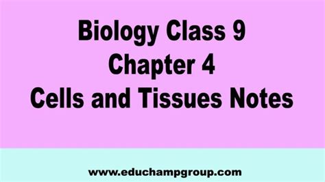 Biology Class Chapter Cells And Tissues Notes