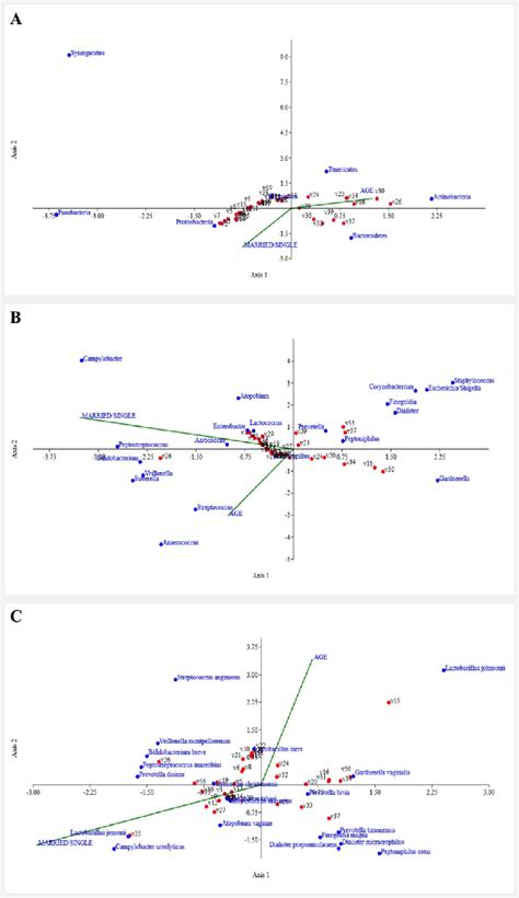Cca Results Of The Identified Bacterial Communities In The Vaginal Swab Download Scientific