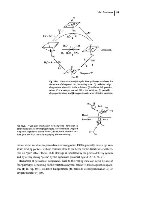 Push Pull Mechanisms Big Chemical Encyclopedia