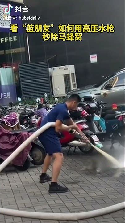 이남자가 벌집을 제거하는 방법 Youtube