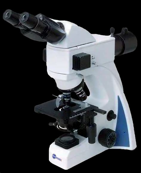 Bs2040fl Biological Led Fluorescent Microscope