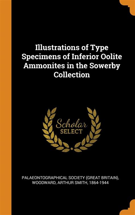 Buy Illustrations Of Type Specimens Of Inferior Oolite Ammonites In The Sowerby Collection