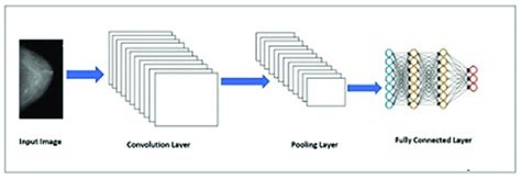 Layers In CNN Https Doi Org 10 1371 Journal Pone 0256500 G004 Download Scientific Diagram