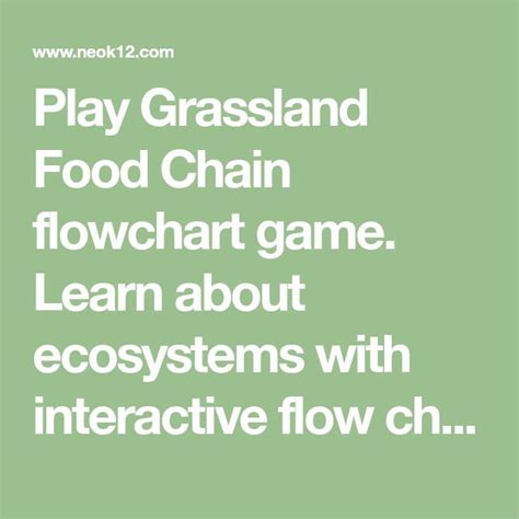 play grassland food chain flowchart game learn about ecosystems with