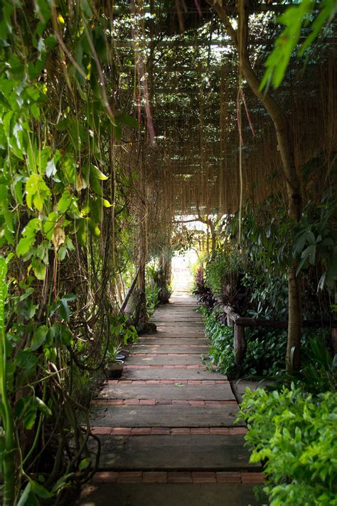 6 Dynamic And Diffuse Daylight Rootedinnature