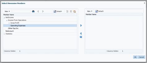 Select Dimensions And Members For The Model View