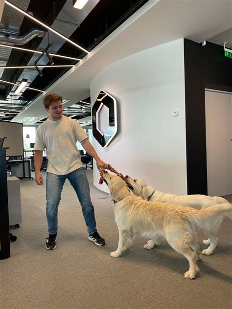 Ethan Coskay On Linkedin Nationalinternday Softwareengineering