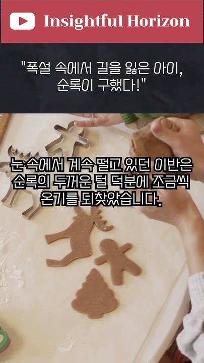 폭설 속에서 길을 잃은 아이 순록이 구했다 Youtube